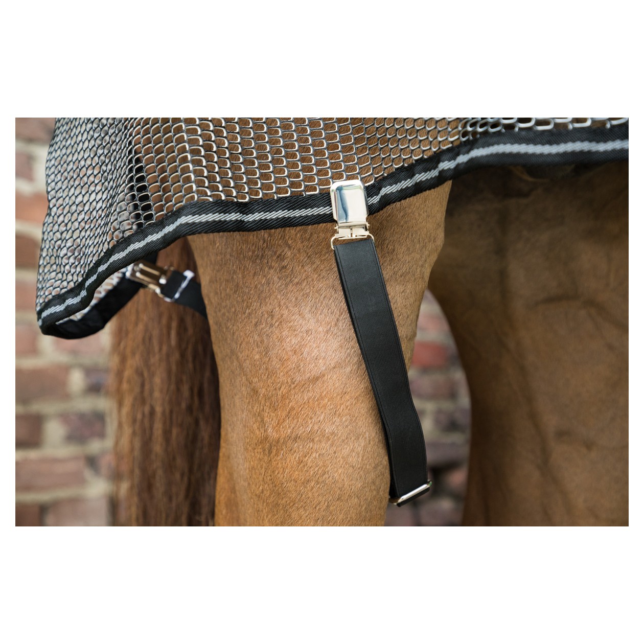 Equine-Microtec Beinschnüre mit Clipverschluss - Equine Microtec